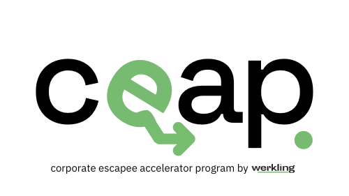 Corporate Escapee Accelerator Program - Werkling